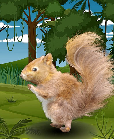 DANCING SQUIRREL • WatchMaker: the world's largest watch face platform