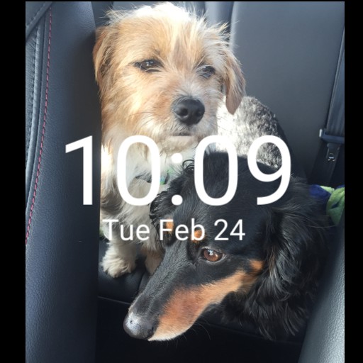 dogs • WatchMaker: the world's largest watch face platform