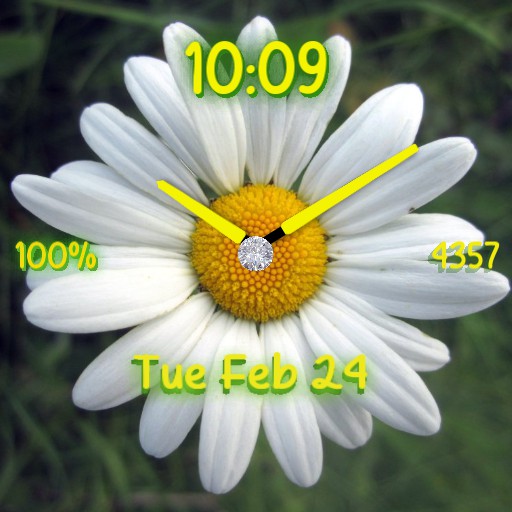 daisy • WatchMaker: the world's largest watch face platform