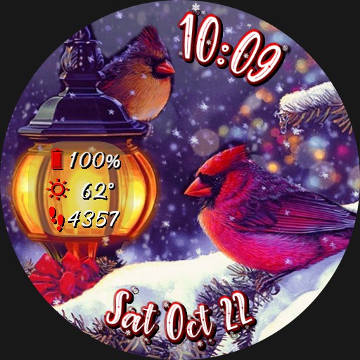 Winter Cardinals • WatchMaker: the world's largest watch face platform