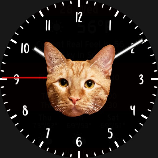 Orange Tabby Multi Screen • WatchMaker: the world's largest watch face ...