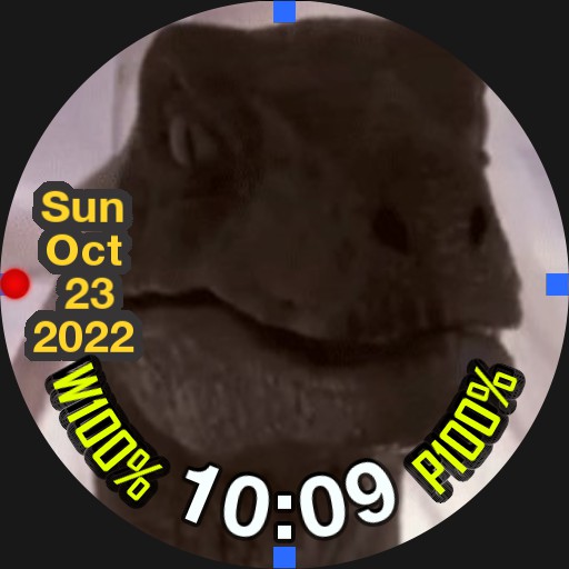 Jurassic Raptor Watch • WatchMaker: the world's largest watch face platform