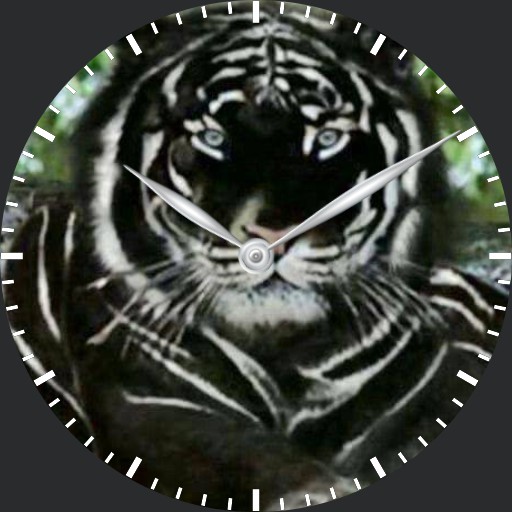 Tiger Black and White - plwren • WatchMaker: the world's largest watch ...