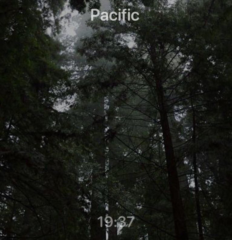 dark nature - widgetopia homescreen widgets for iPhone / iPad / Android