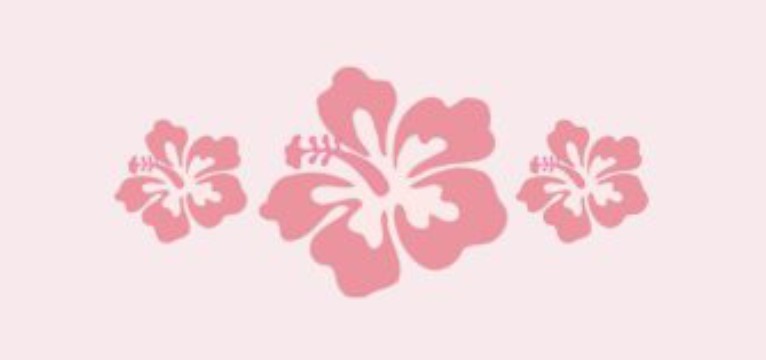 hawaii flower - widgetopia homescreen widgets for iPhone / iPad / Android