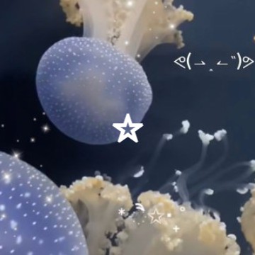 beach - widgetopia homescreen widgets for iPhone / iPad / Android